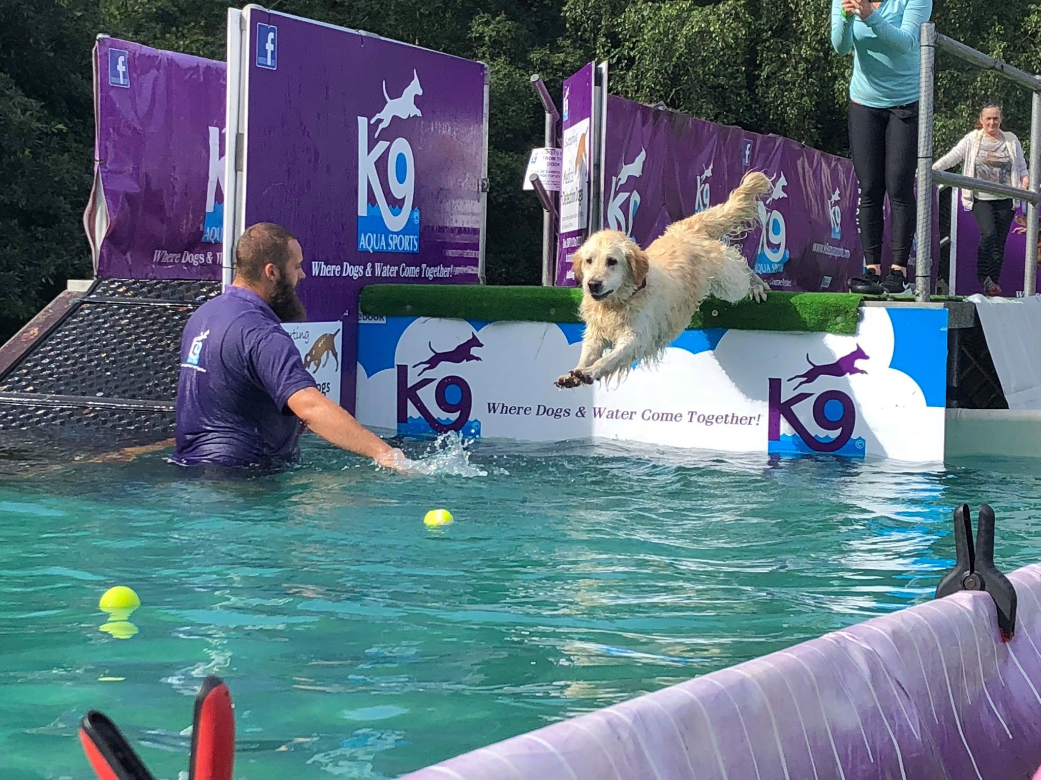 Pawsitively pooch-friendly | National Trust for Scotland