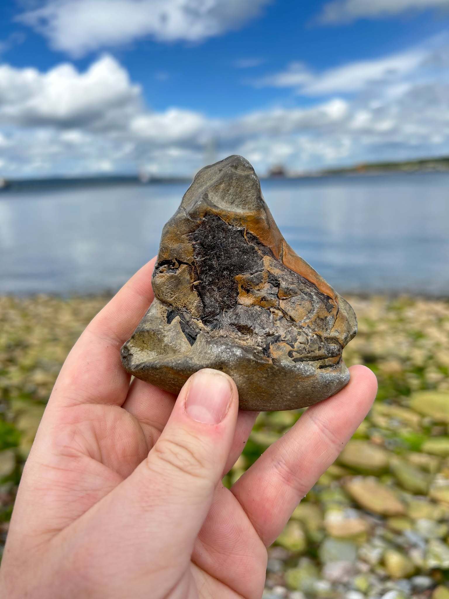 Step into science at Hugh Miller’s… | National Trust for Scotland