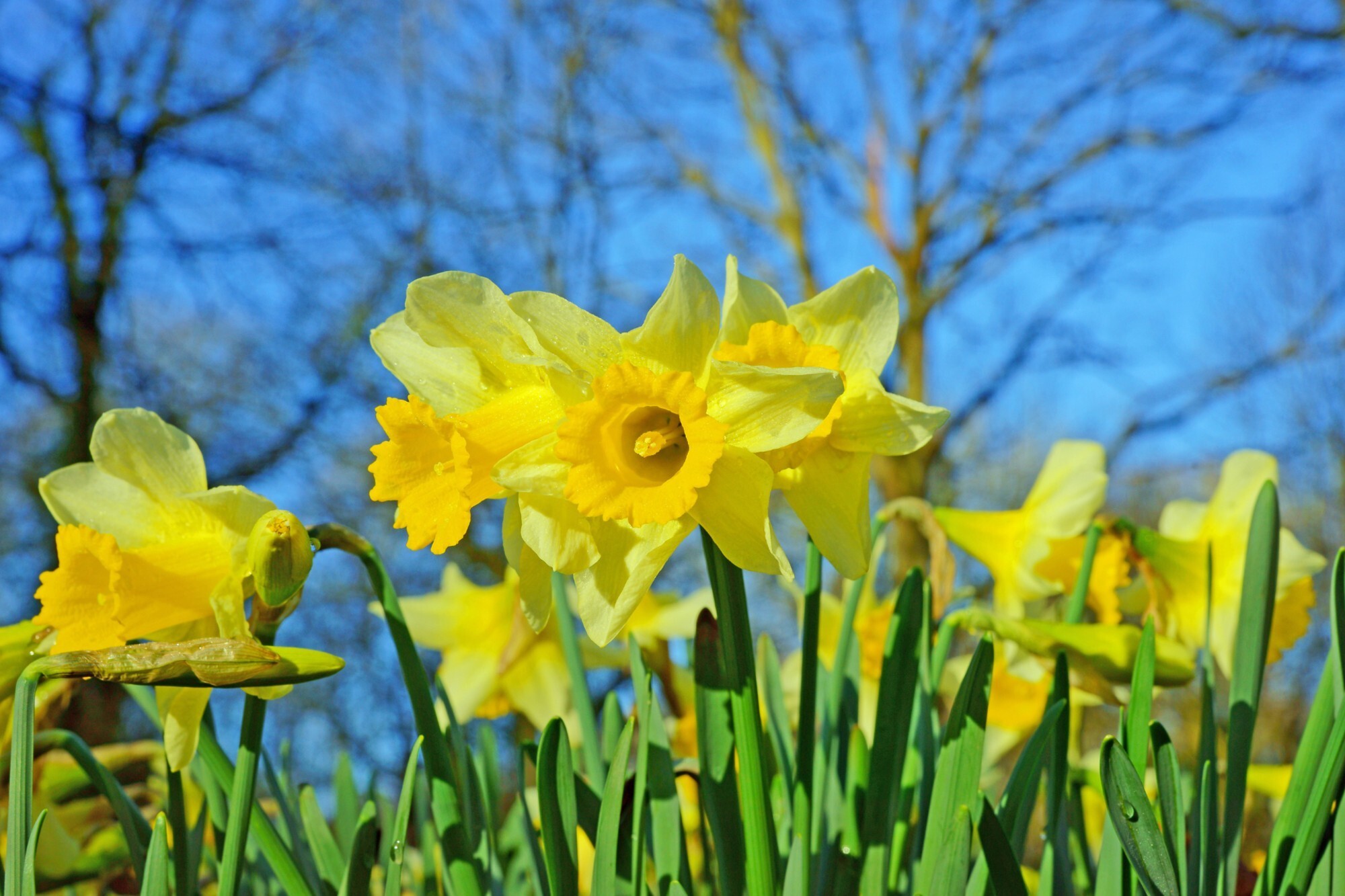 Easter in Scotland | National Trust for Scotland