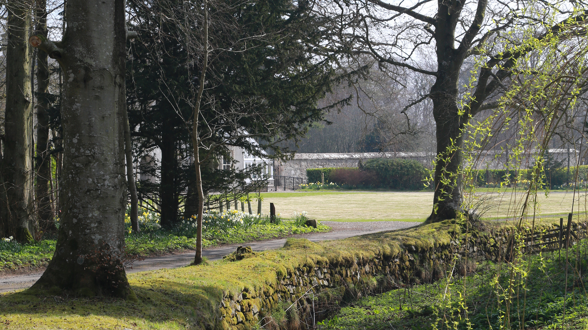Walks | National Trust for Scotland