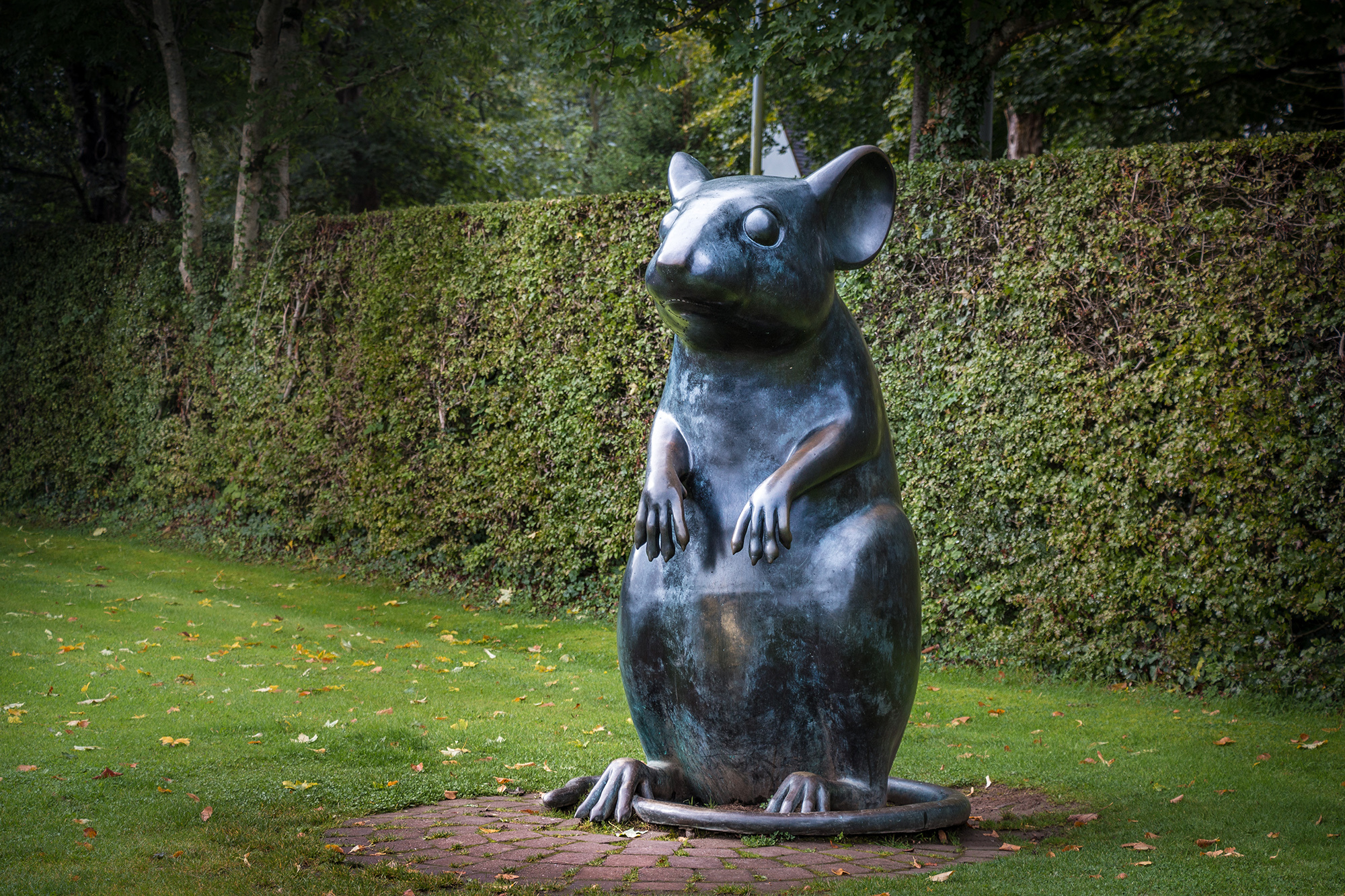 To a Mouse | National Trust for Scotland