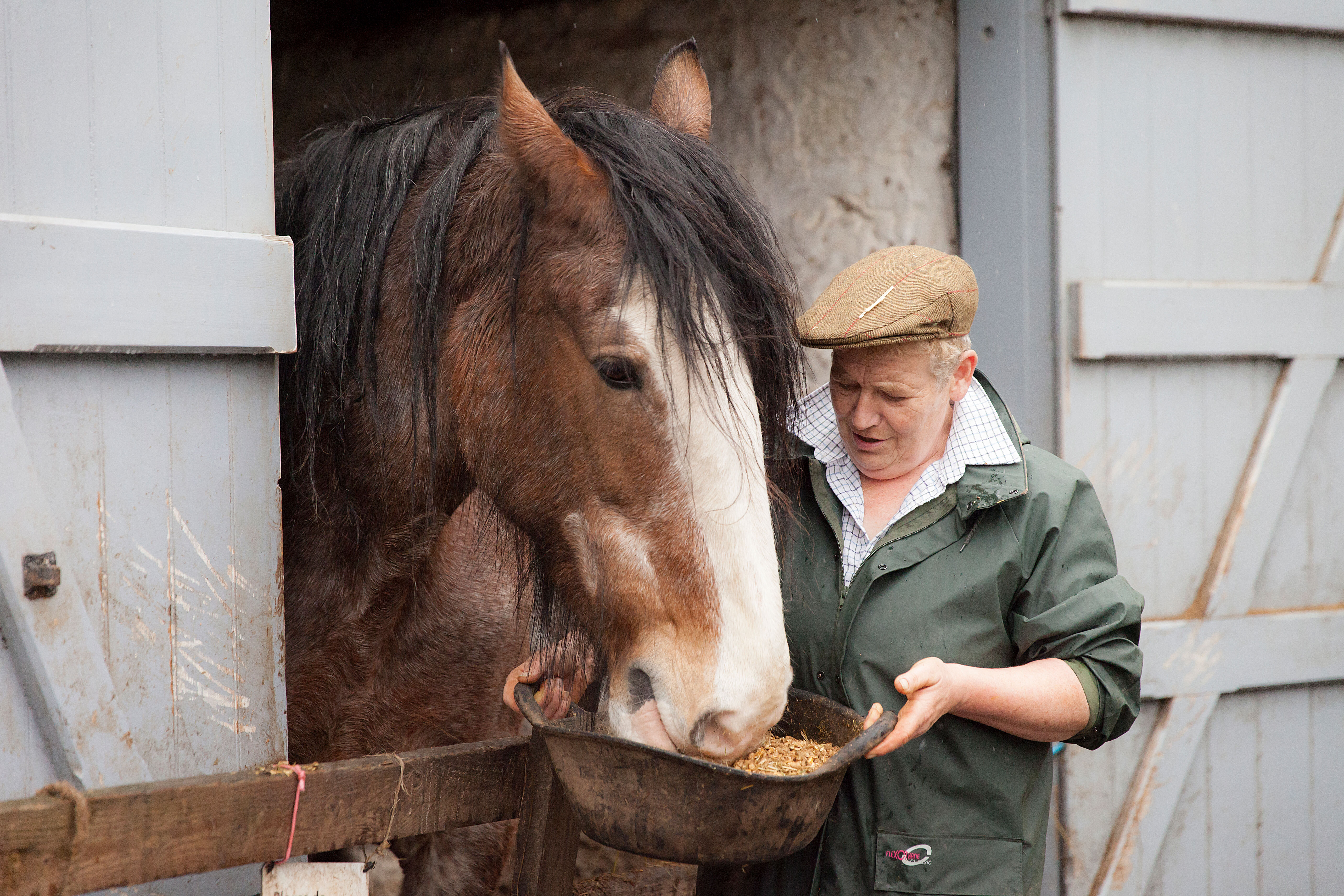 Working farm | National Trust for Scotland