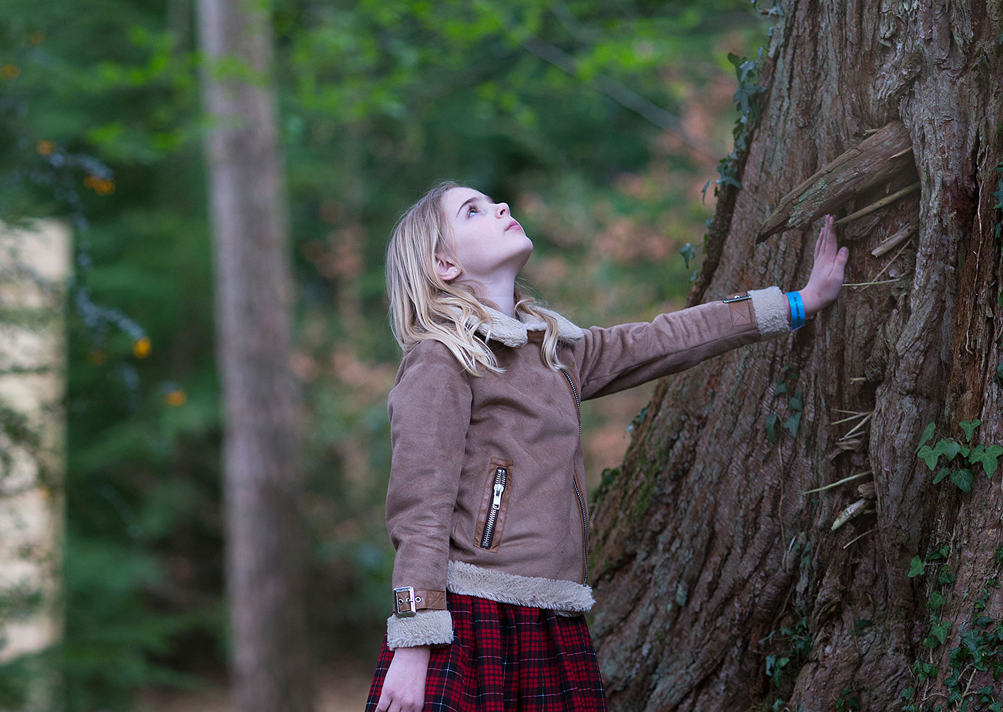 Dedicate a Tree | National Trust for Scotland