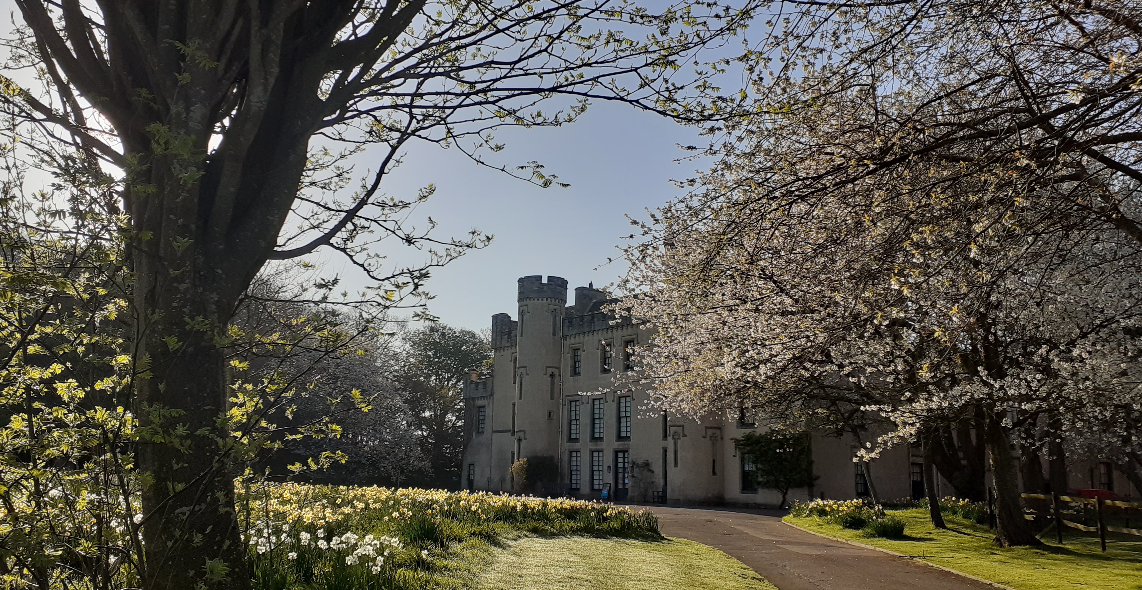 Bringing Back the Binns: behind the… | National Trust for Scotland