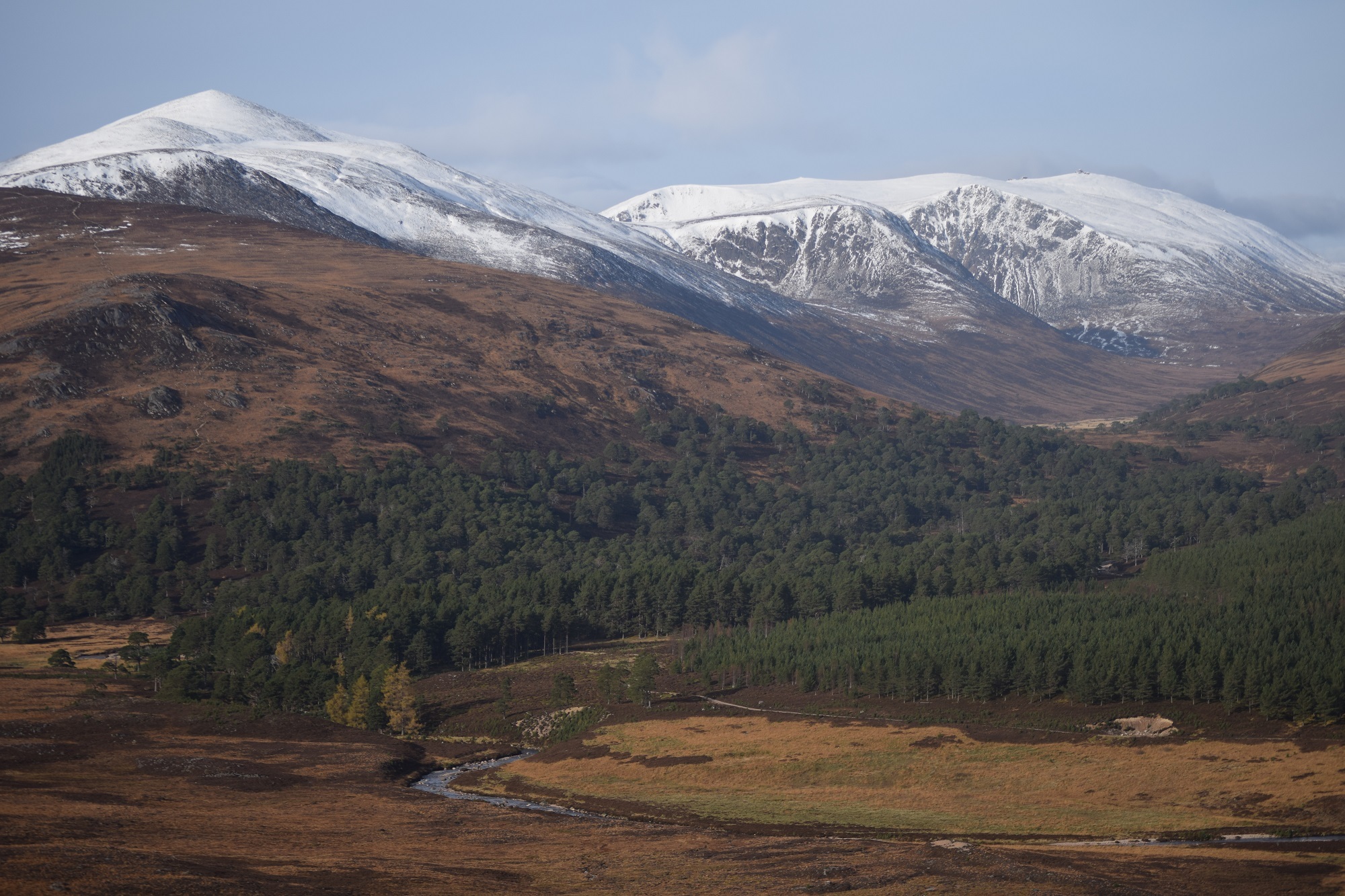 The wild transformation of Mar Lodge… | National Trust for Scotland